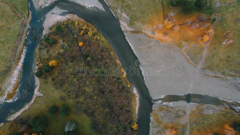Autumn Colors. Image of Trees in the Forest Stock Photo - Image of fall ...
