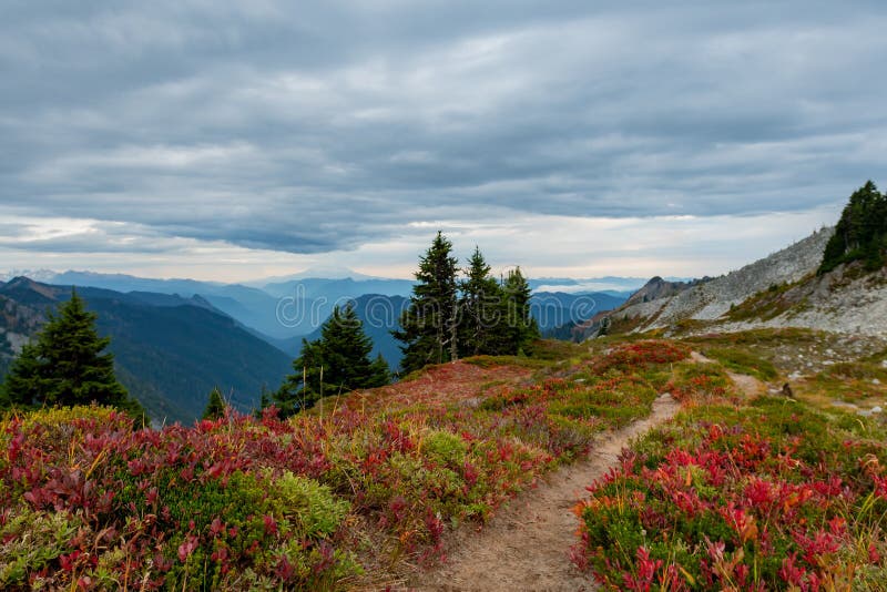 Autumn Colors Line Trai through Tatoosh Range Stock Image - Image of ...