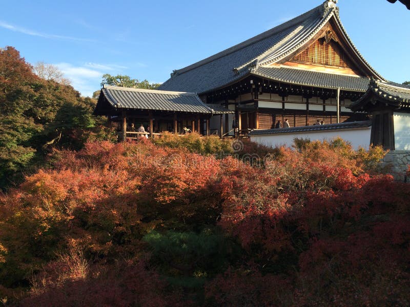Autumn Colors of Maple Trees in Front of Tofukuji Temple in Kyoto Stock ...
