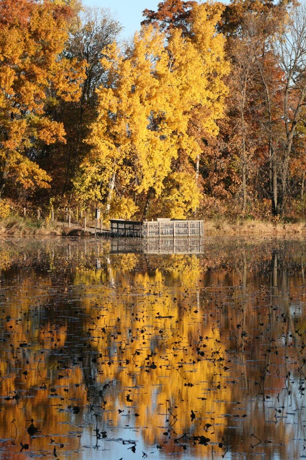 Autumn Colors in Minnesota. Stock Image - Image of beautiful, trees ...