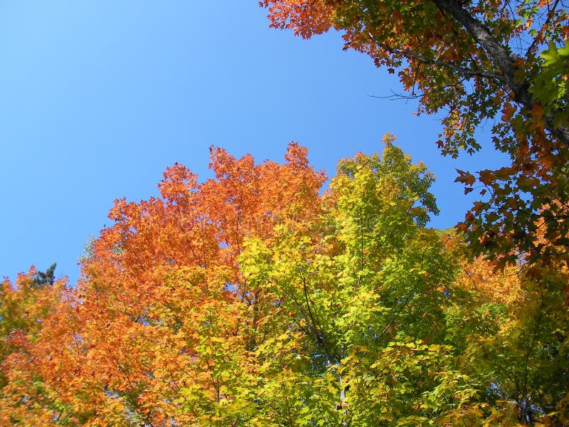 Autumn Colors in Ontario, Canada. Stock Image - Image of ontario, blue ...