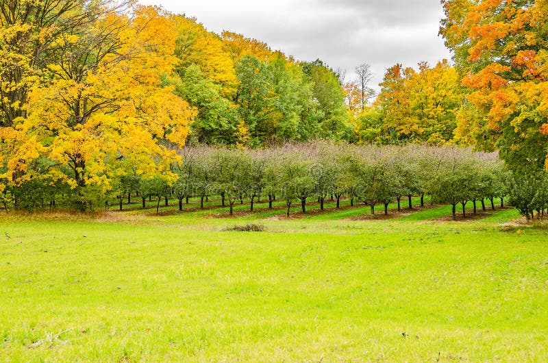 Autumn Colors and Orchard stock image. Image of michigan - 139685261