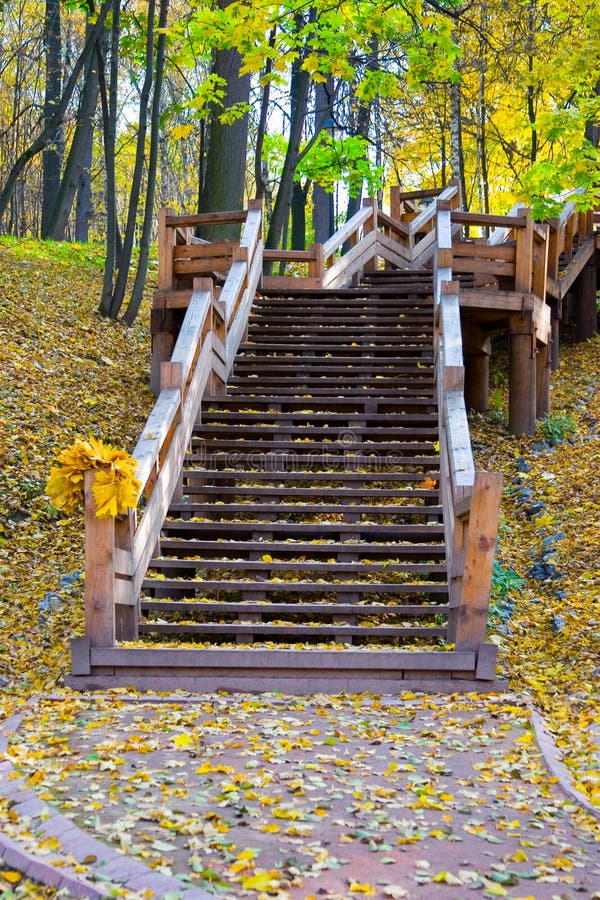 Autumn colors in the park stock image. Image of road - 10340725