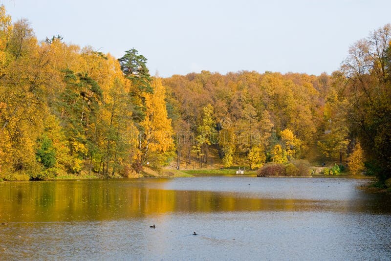 Autumn colors in the park stock photo. Image of september - 10340806