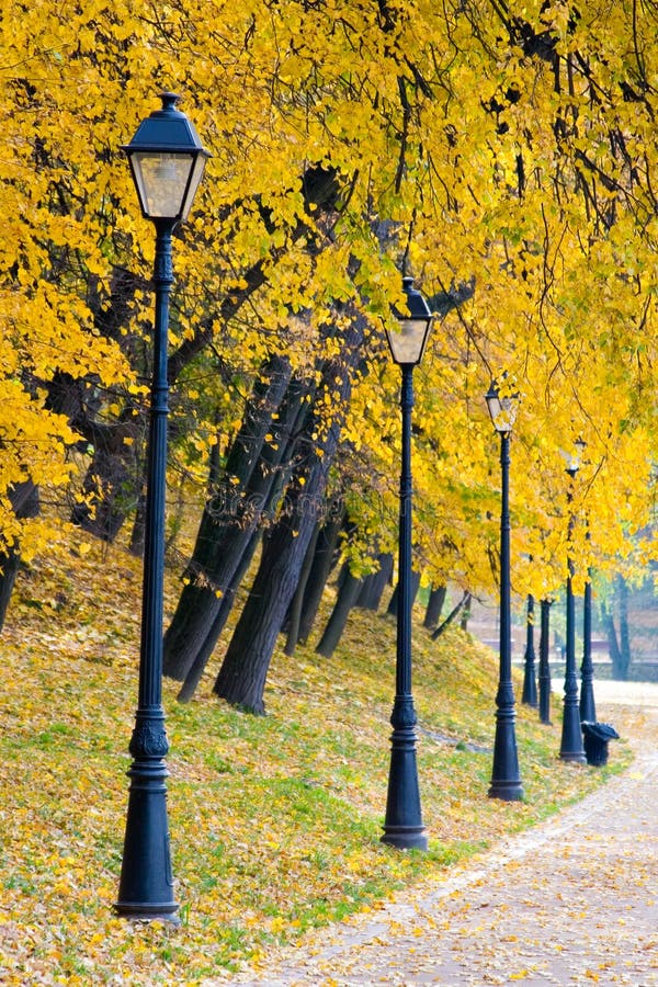 Autumn colors in the park stock image. Image of leaves - 10755847