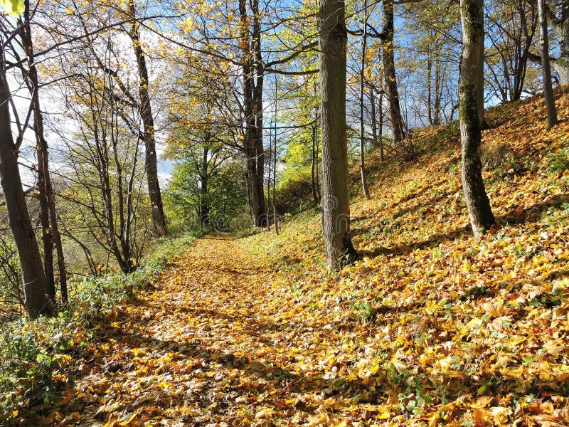 Autumn Colors in Park, Lithuania Stock Photo - Image of rest, fall ...