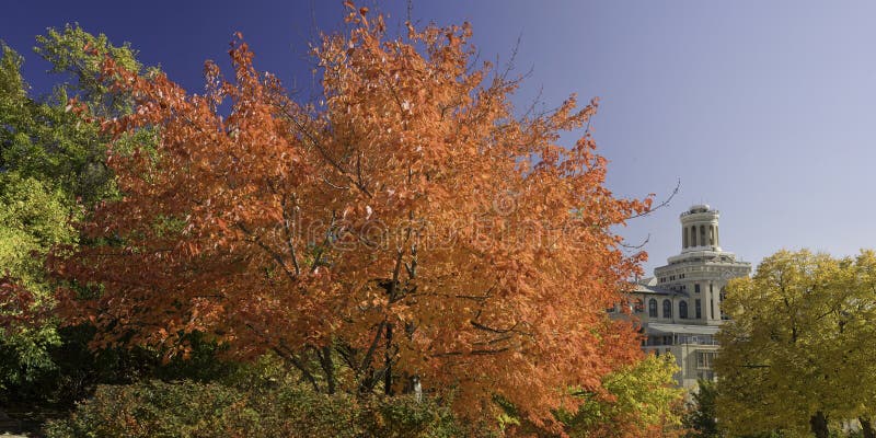 Autumn colors stock photo. Image of pennsylvania, fall - 50403244