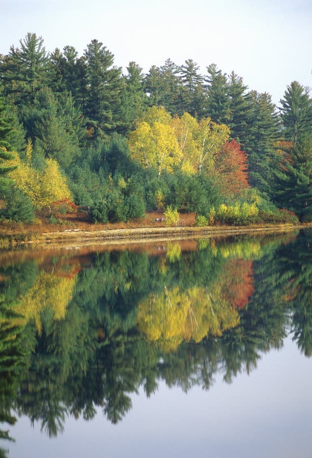 Autumn Colors in Purity Spring, NH on Scenic Route 153 Stock Image ...