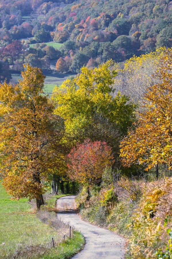 Autumn Colors in Pyrenees Mountains Stock Image - Image of fall ...