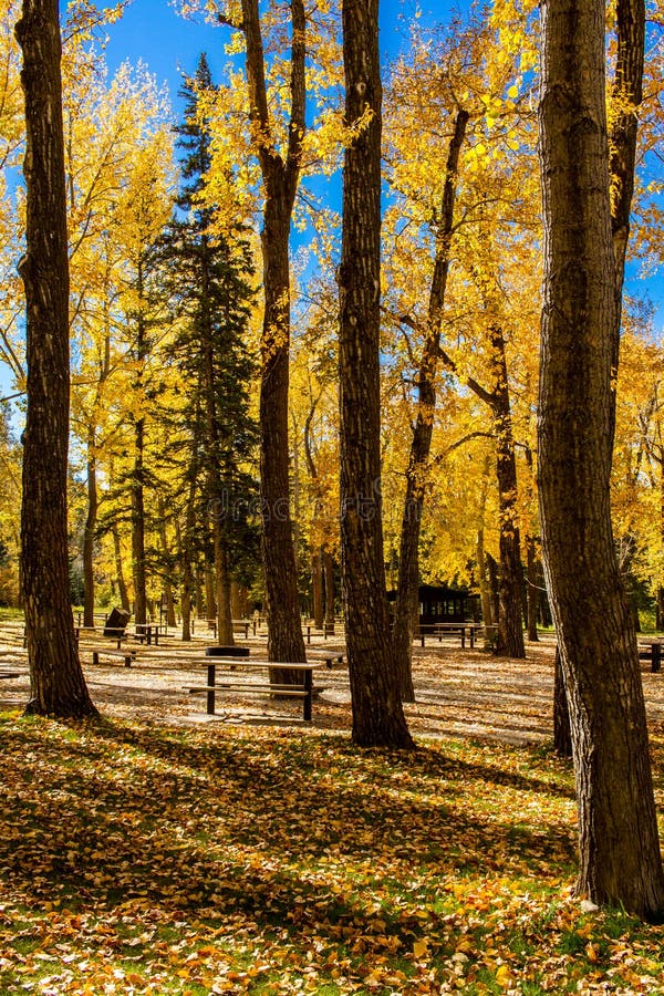 Autumn Colors stock image. Image of water, trees, outdoors - 84429951