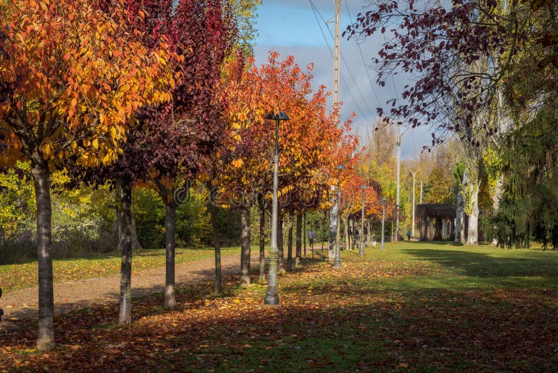 Autumn Colors, Trees with Red Leaves in Spain Stock Image - Image of ...
