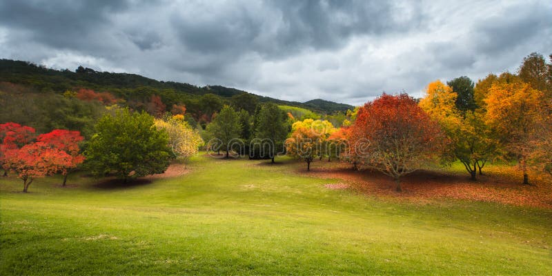 Autumn, Adelaide Hills stock image. Image of leaf, vegetation - 14905541