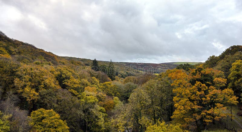 Autumn Colour stock photo. Image of russet, tapestry - 34989156