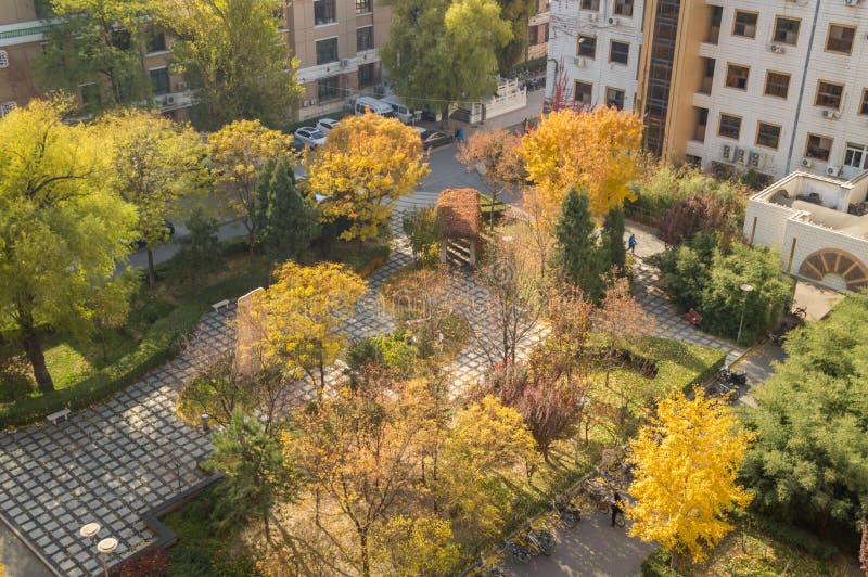 Autumn Colour Scenery in College 2 Editorial Stock Photo - Image of ...