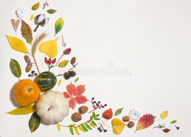 Autumn Colourful Leaves in Frame Stock Photo - Image of nature, fall ...