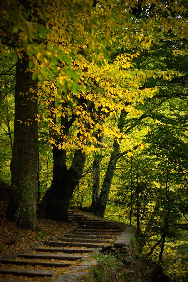 Autumn colours stock image. Image of concrete, mountain - 11240965
