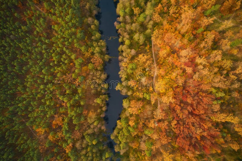 Autumn Colours in Forest Form Above, Captured with a Drone Stock Photo ...