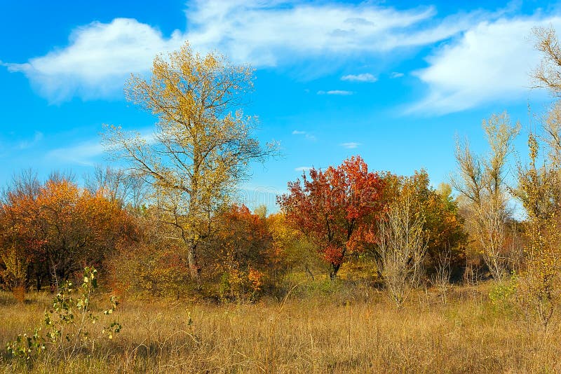 Autumn colours stock image. Image of autumn, landscaped - 46040721