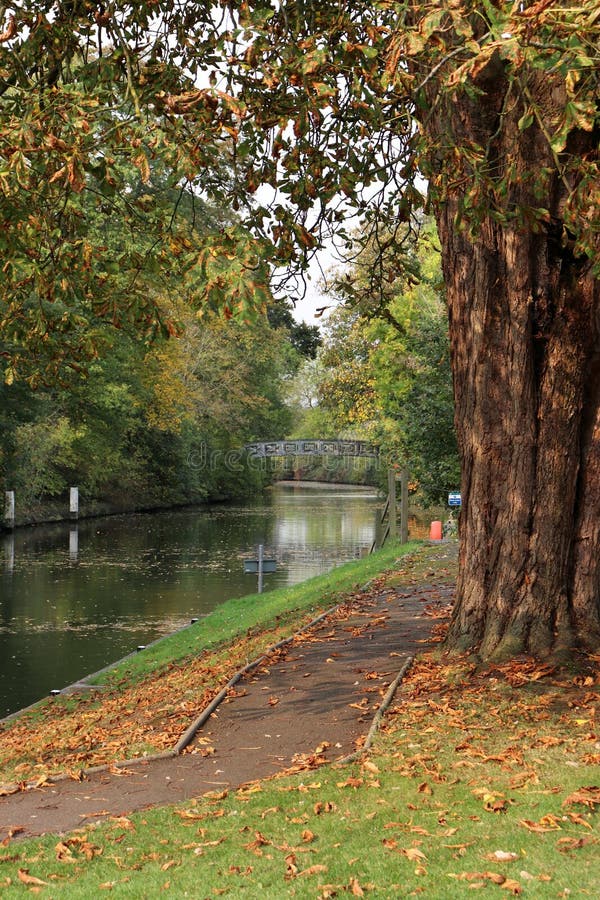 Autumn on the River Thames stock photo. Image of garden - 11908914