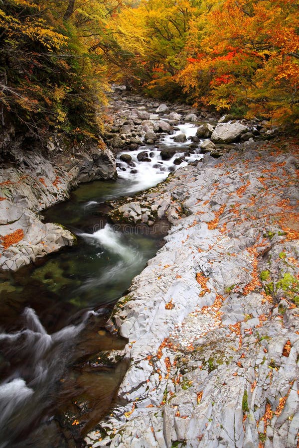 Stream stock image. Image of silk, tree, stone, color - 9971489