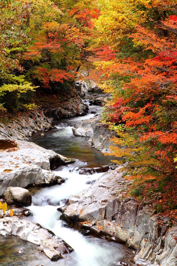 Beautiful Fall Scene stock photo. Image of river, outdoor - 3048780