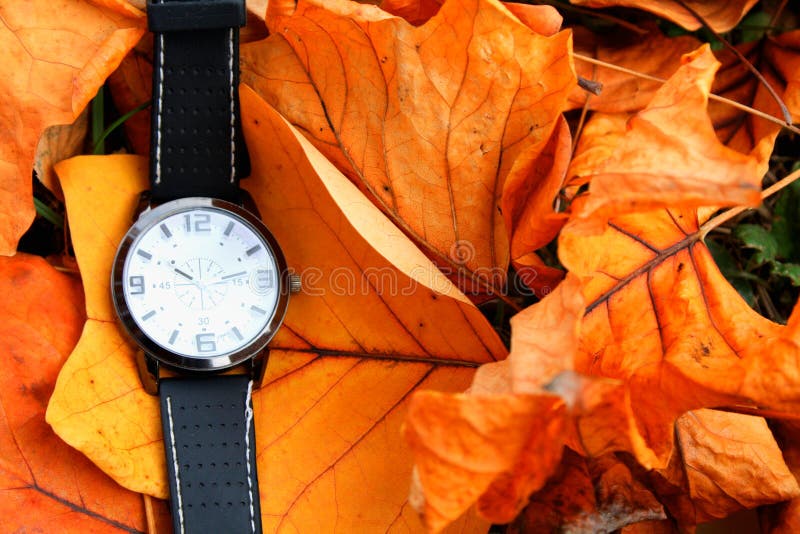 Autumn Come with Clock Isolated on Ground Stock Photo - Image of ...