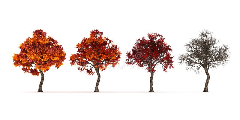 Autumn Comes, the Tree, the Foliage Falls. 3d Illustration, 3d ...