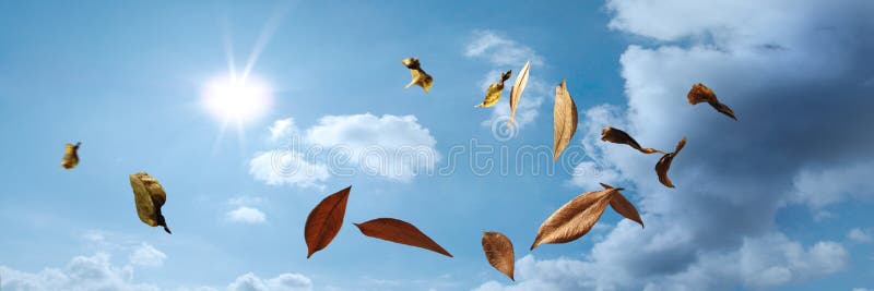 Autumn is coming stock image. Image of yellow, background - 11028127