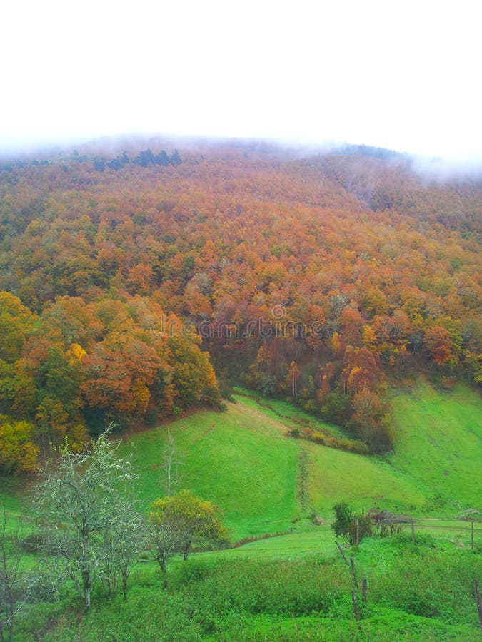 Autumn is coming stock image. Image of cloudy, autumn - 60581587