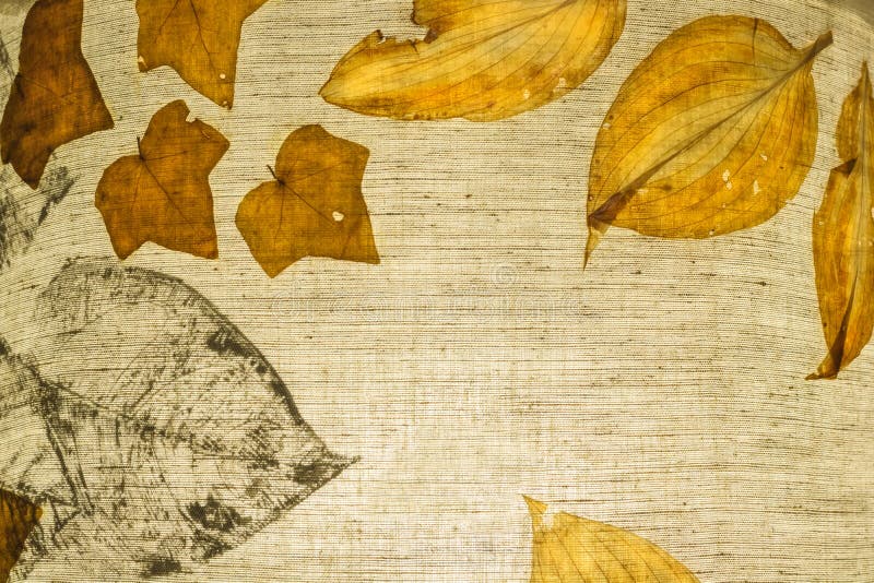 Autumn Composition with Dried Leaves on Light Linen Background. Autumn ...