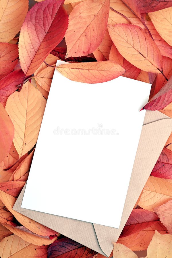 Autumn Composition. Envelope, Leaves and White Background. Autumn, Fall ...