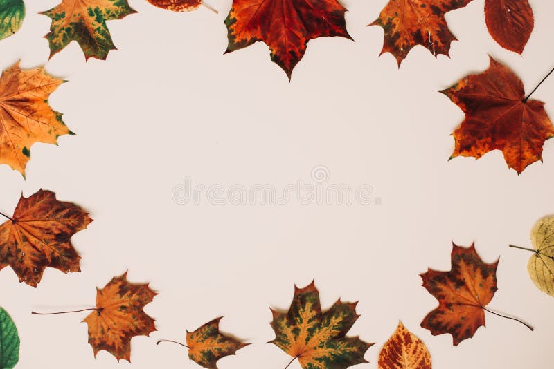 Autumn Composition. Forest Materials on White Background. October Flat ...