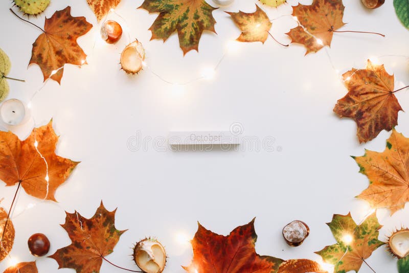 Autumn Composition. Forest Materials on White Background. October Flat ...
