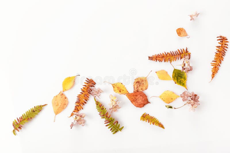 Autumn Composition.Frame Made of Autumn Dry Multi-colored Leaves and ...