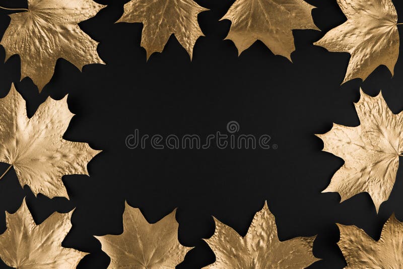 Autumn Composition. Frame Made of Autumn Golden Maple Leaves on Black ...