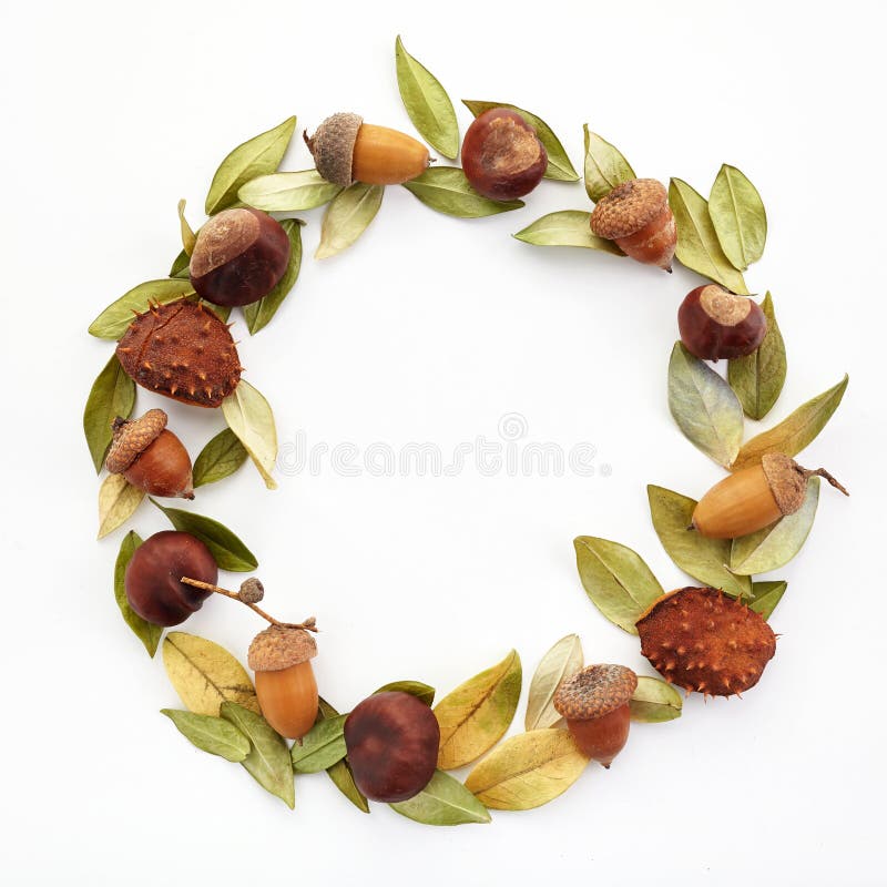 Autumn Composition, Frame Made of Nuts, Acorns, Chestnuts and Dry ...