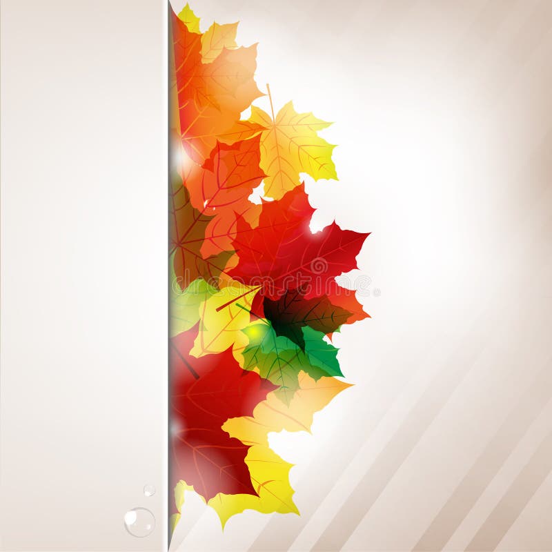 Autumn Composition from Leaves and Paper Banner with Water Drop Stock ...