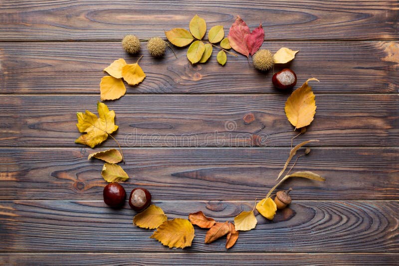 Autumn Composition Made of Dried Leaves, Cones and Acorns on Table ...