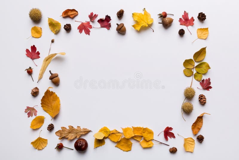 Autumn Composition Made of Dried Leaves, Cones and Acorns on Table ...