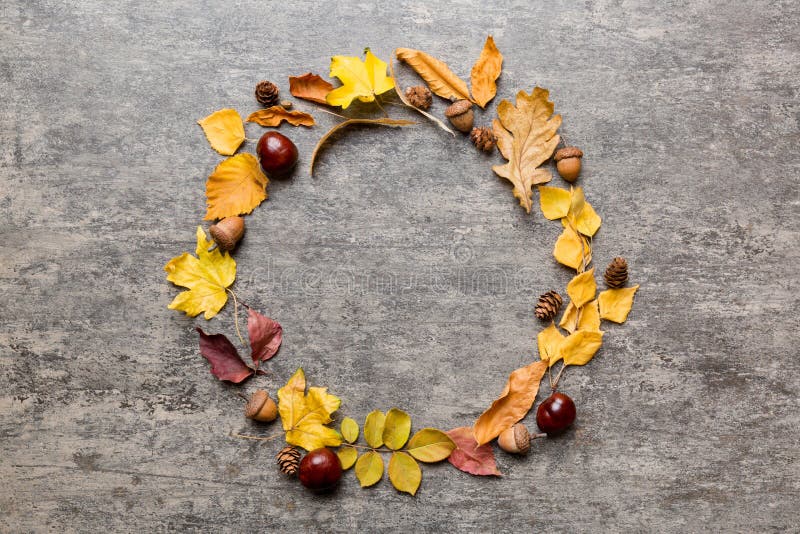 Autumn Composition Made of Dried Leaves, Cones and Acorns on Table ...