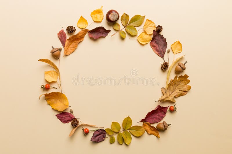 Autumn Composition Made of Dried Leaves, Cones and Acorns on Table ...