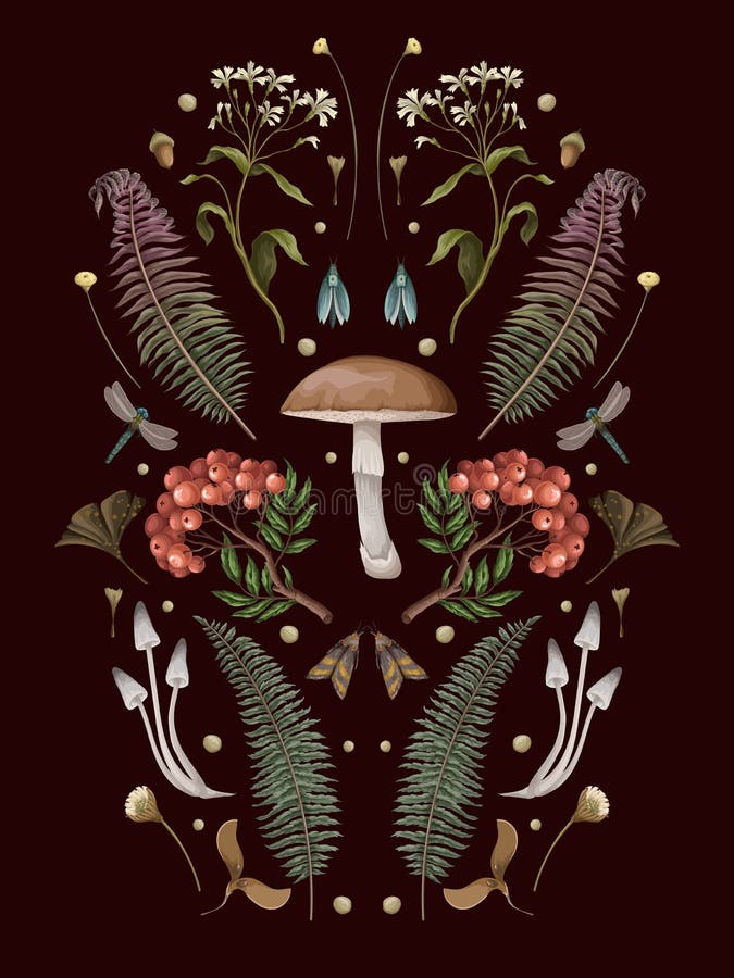 Autumn Composition with Mushrooms, Berries and Plants. Botanical Vector ...