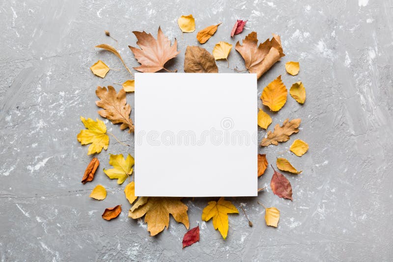 Autumn Composition with Paper Blank and Dried Leaves on Table. Flat Lay ...