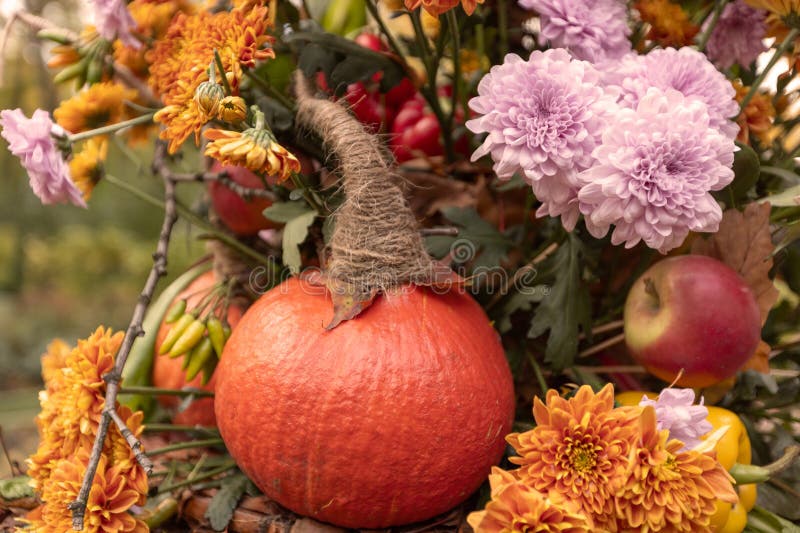 Autumn Composition of Pumpkin, Flowers and Fruits, Autumn Decor Stock ...