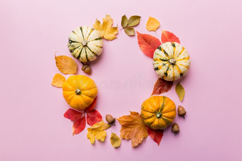 Autumn Composition Pumpkins with Fall Leaves Over Coloredbackground ...