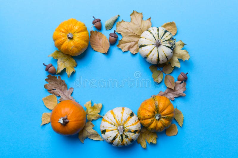 Autumn Composition Pumpkins with Fall Leaves Over Coloredbackground ...