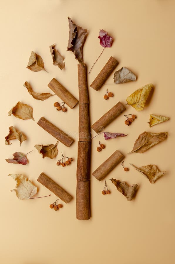 Autumn Concept, DIY Tree. Tree on Beige Background Stock Image - Image ...