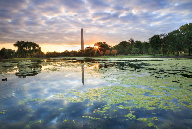 Autumn Constitution Gardens Washington DC-monument Fotografering för ...