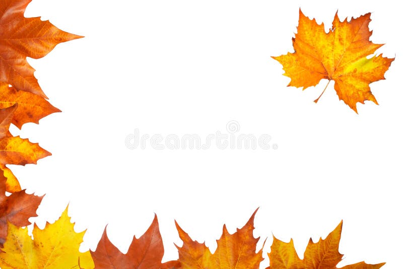 Autumn corner stock image. Image of decor, leafy, autumn - 3605931