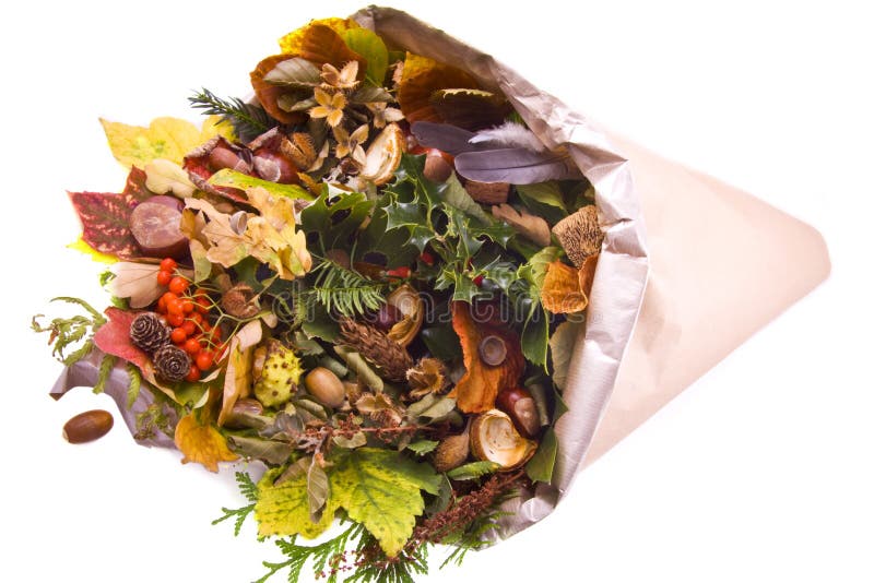 Autumn cornucopia stock image. Image of yellow, fall - 11007967